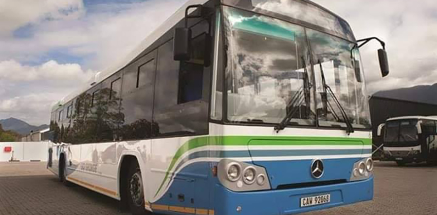 GO GEORGE ready to roll out next phase – GO GEORGE